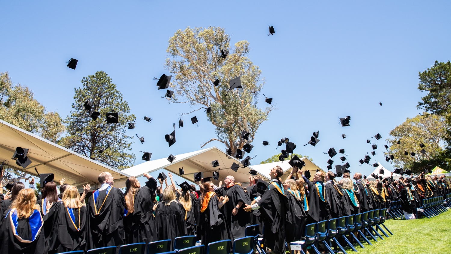 Two decades of five-star student experiences - University of New ...