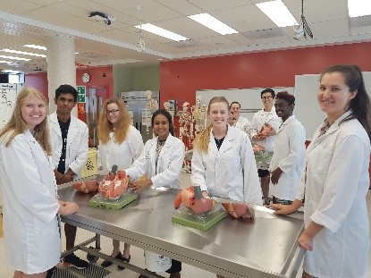 Body Donor Program - University of New England (UNE)
