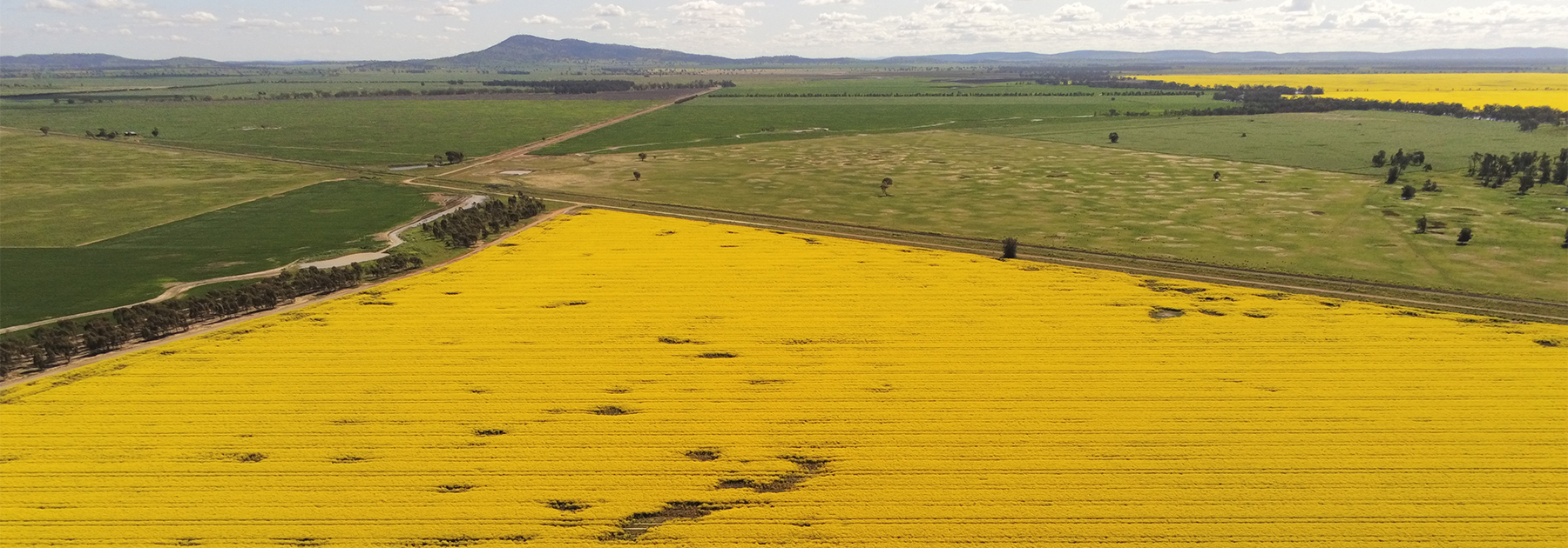 Removing constraints to productivity in the northern grain region ...