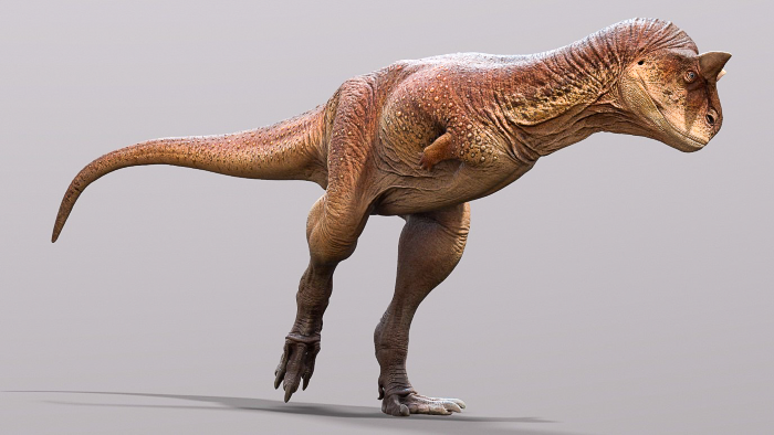 Scientists reveal the fossilised skin of a bull-like carnivorous ...