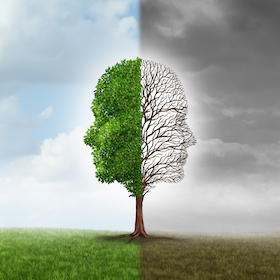 Environmental Psychology Research Group - University of New England (UNE)