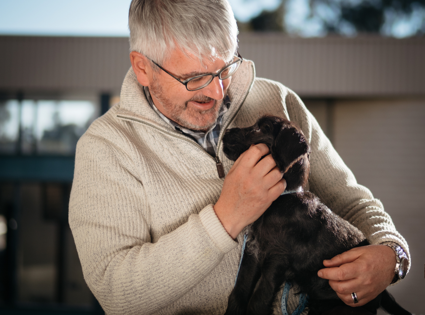 A dog's clock-watching life - University of New England (UNE)