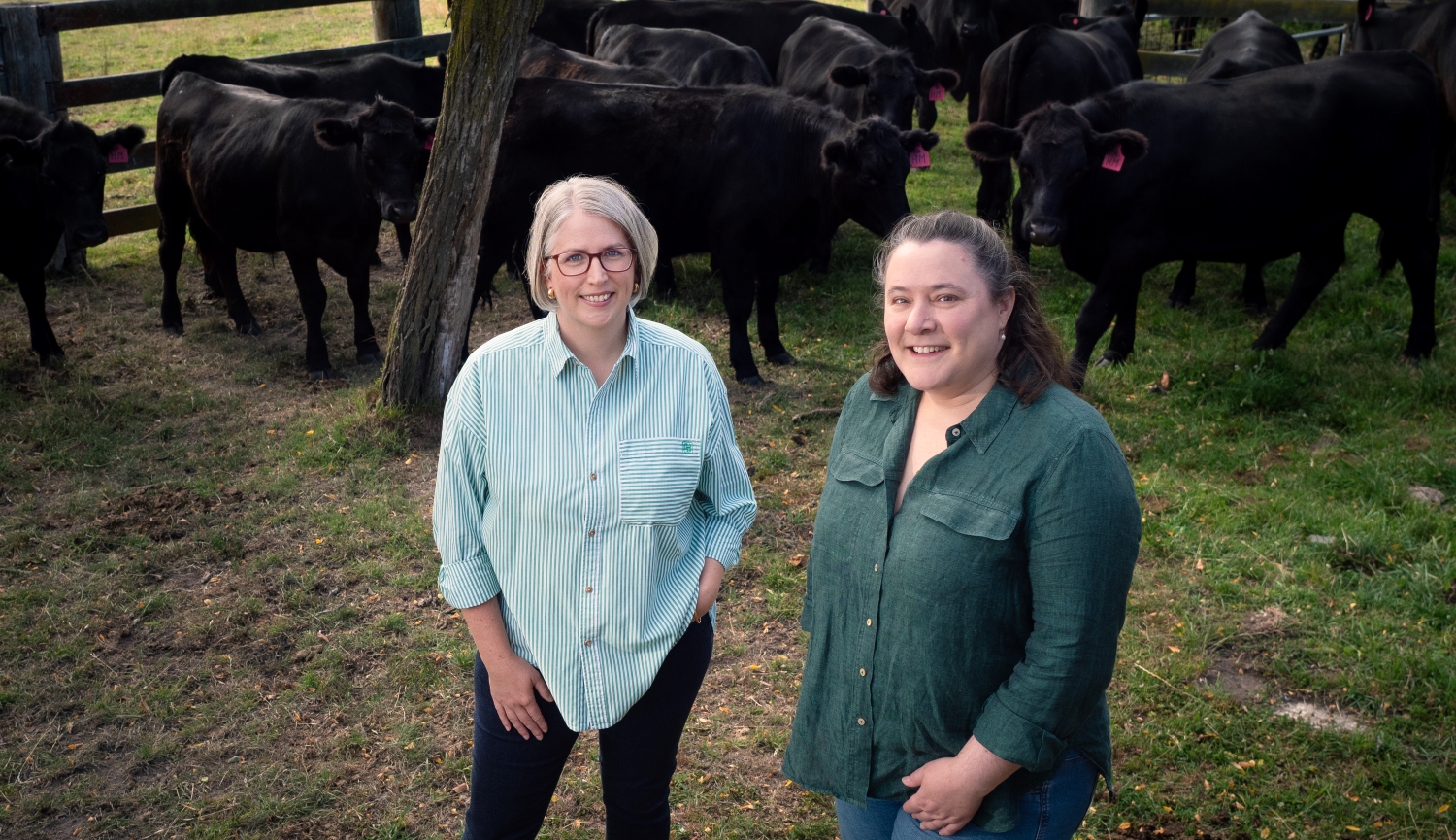 Warning on hidden climate change disease threat - University of New ...