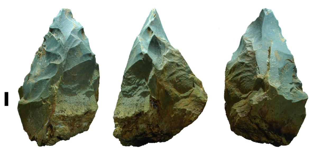 Stone Tools and Cognition - University of New England (UNE)